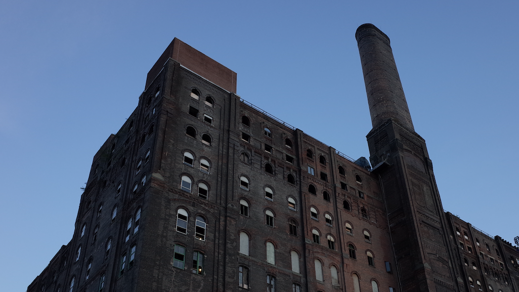 Laura Frances Portfolio